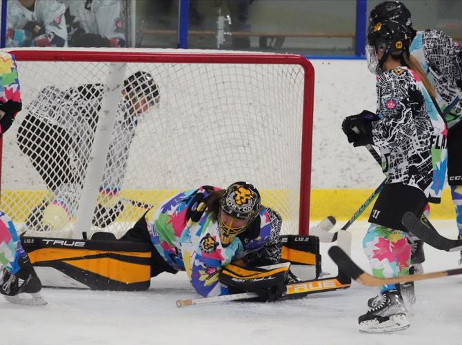 Buffalo Beauts, PHF All-Stars thrilled as women's pro hockey league ...