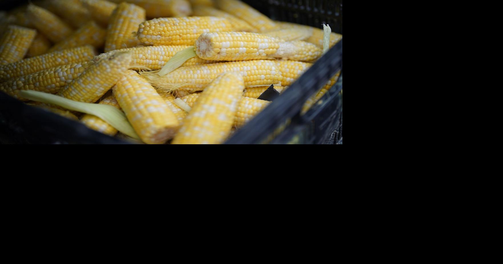 The Editorial Board: Life-saving help, ugly veggies fill void and more ...