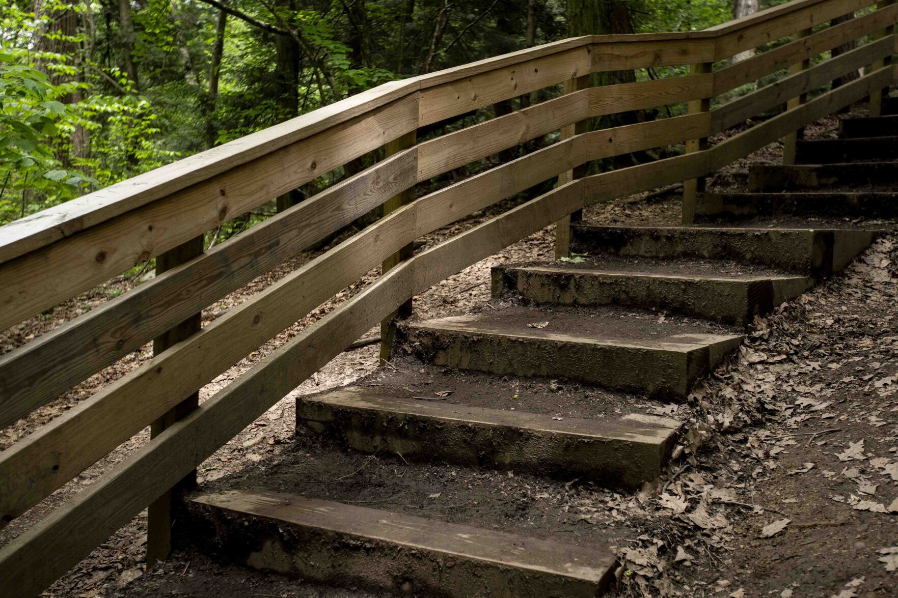 Rescues keep happening on Eternal Flame trail in WNY