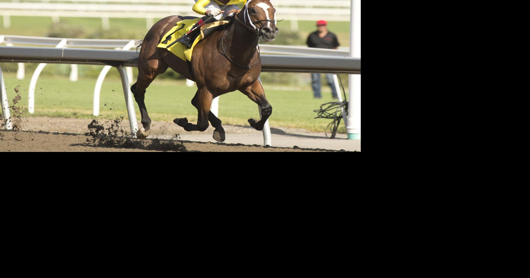Post Time: Canadian Triple Crown kicks off Sunday with 163rd Queen’s Plate