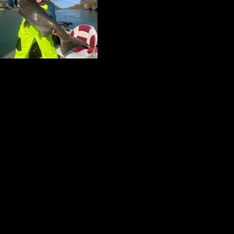 Outdoors calendar: Southern Zone crossbow season opens Nov. 5