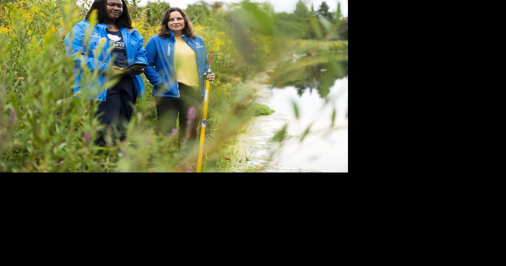 1,500 volunteers help clean Buffalo-area shorelines