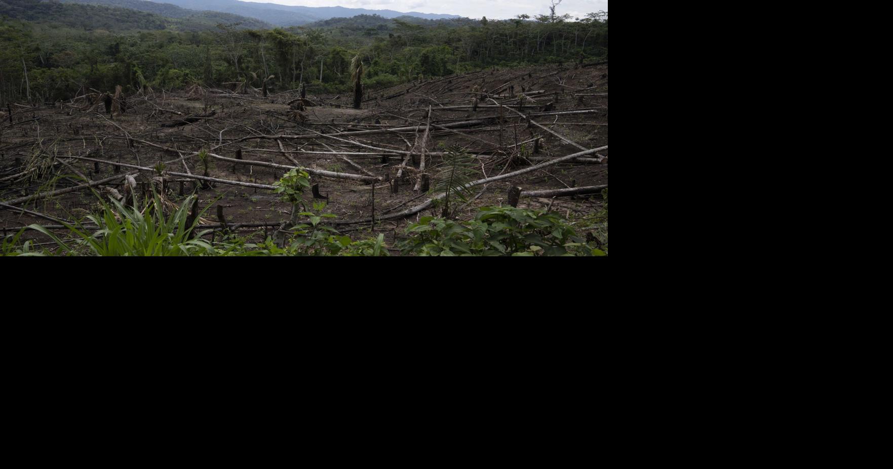 Climate change, deforestation impact Amazon's flying rivers