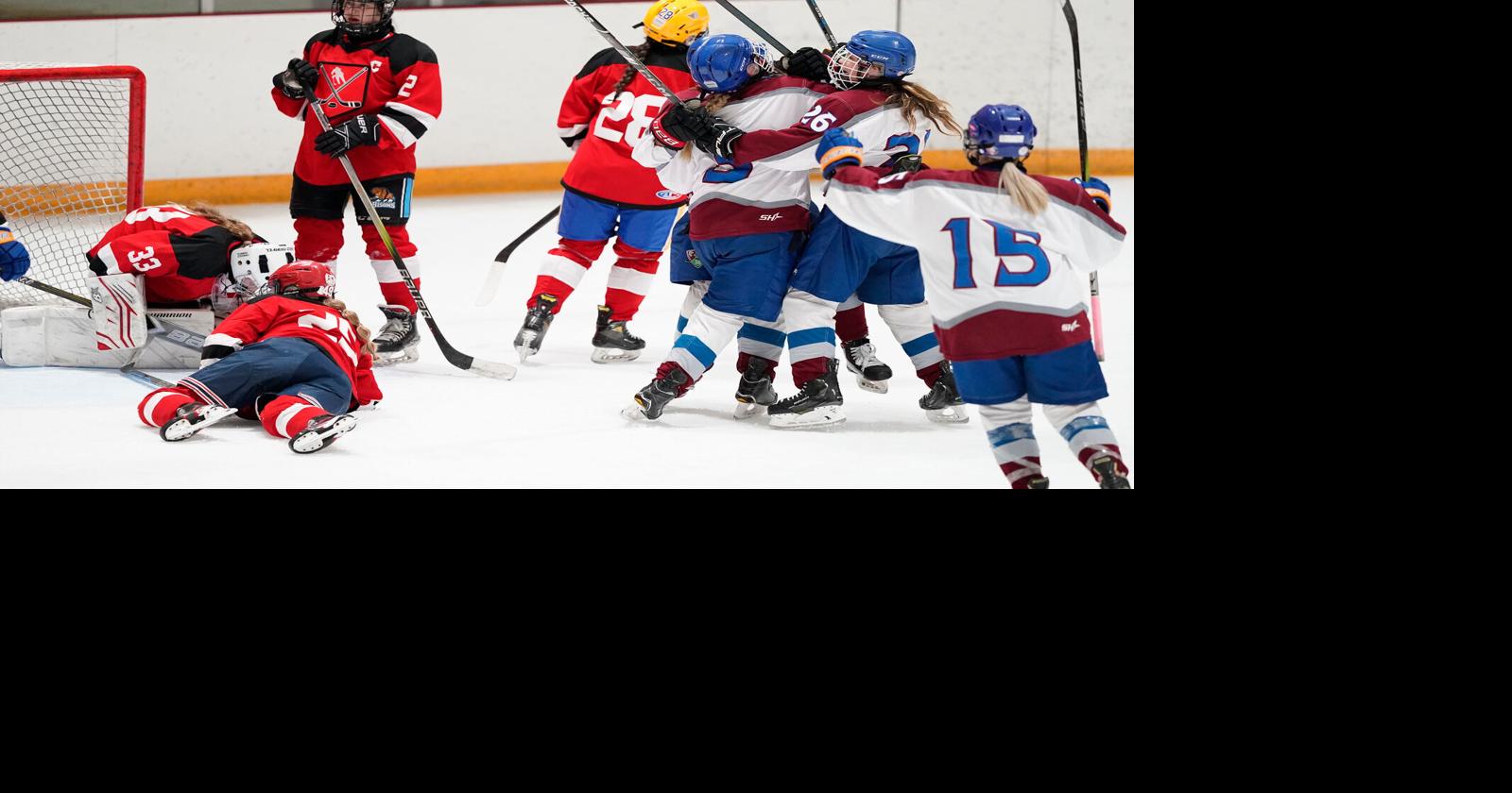 Photos: Action at the Section VI girls hockey semifinals
