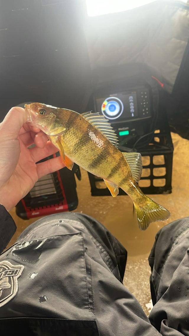 Scattershot: Musky Expo set for Jan. 31-Feb. 1