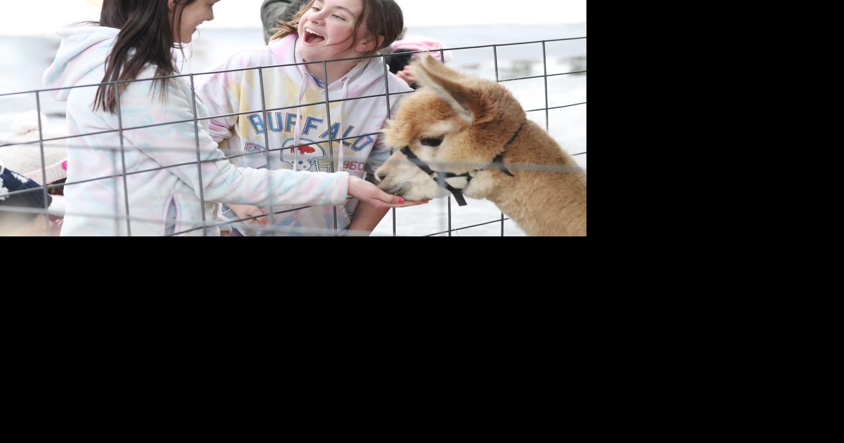 Photos: Families enjoy annual Winterfest at Chestnut Ridge Park