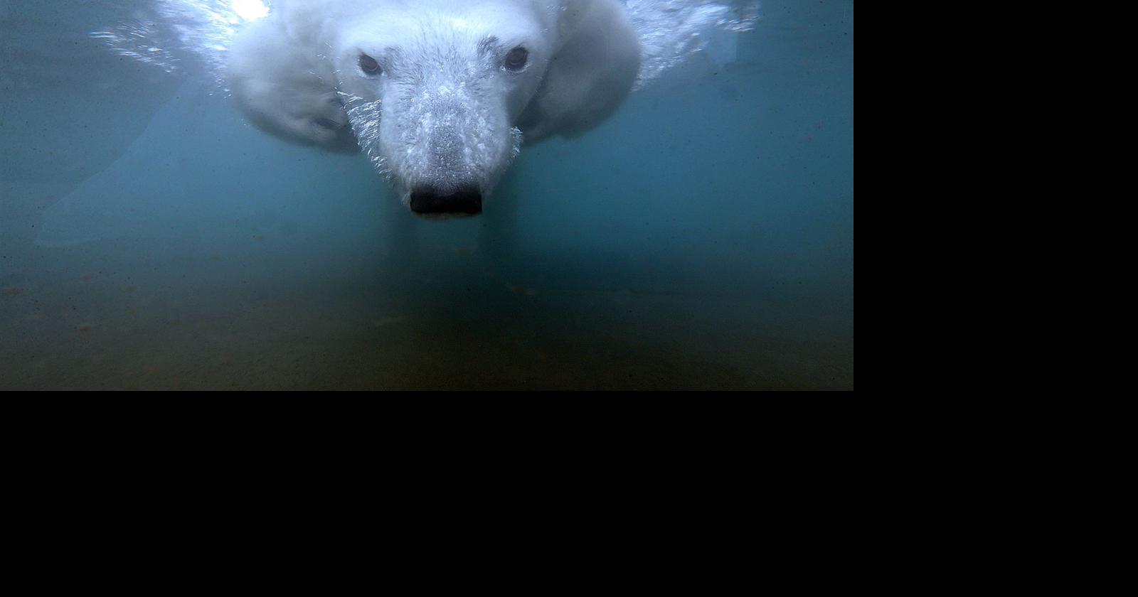 Best of 2015: Robert Kirkham