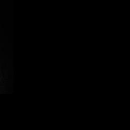 Business People: Christopher Cardillo, Block, Longo, LaMarca & Brzezinski