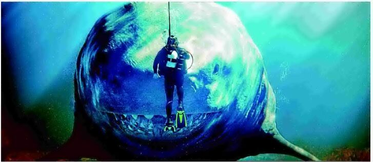 'Jaws' to 'The Meg,' here's what shark movies get right and wrong