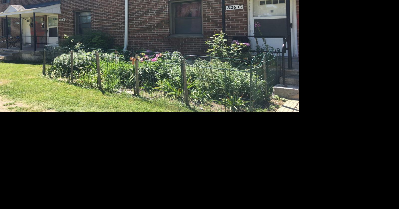 Life in the Perry Street apartments