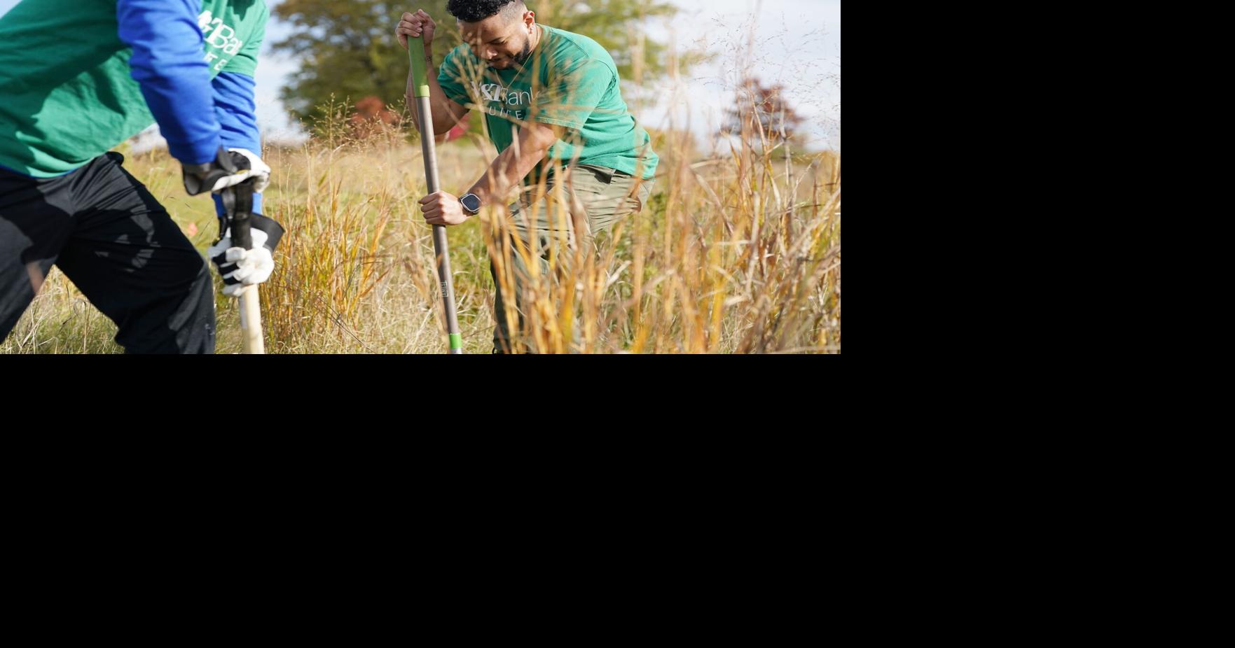 Is it possible for NY to plant 25 million trees by 2033?