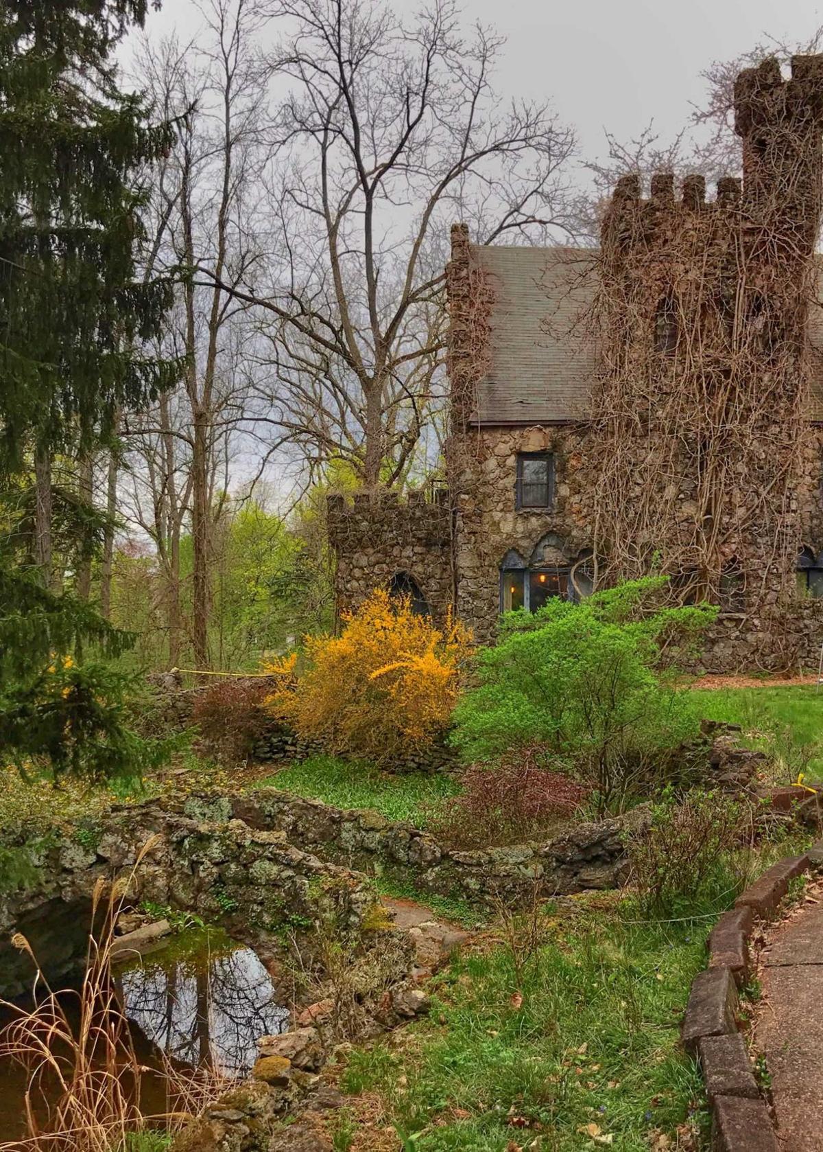 A rare peek at a hidden Williamsville castle
