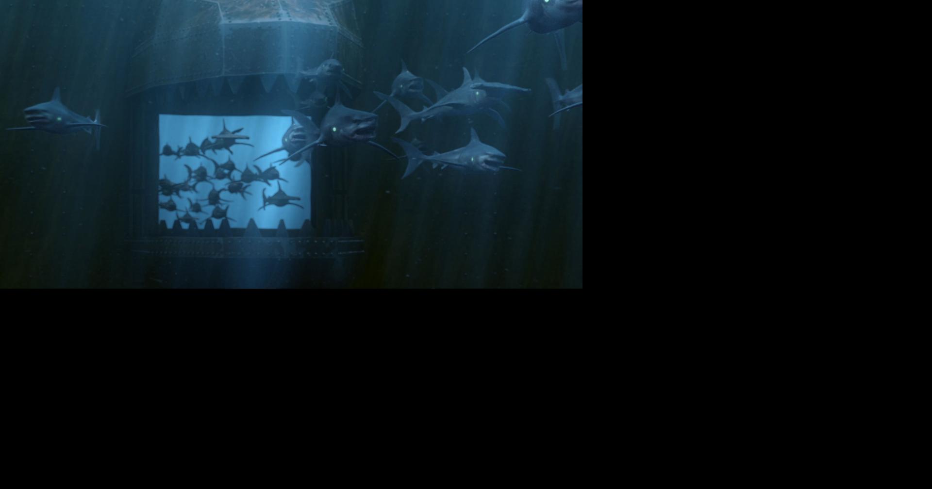 Freshwater Buffalo loves its sharks – during Shark Week, at least