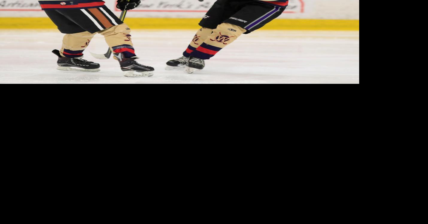 Emma Roland's hat trick lifts Williamsville into girls hockey ...