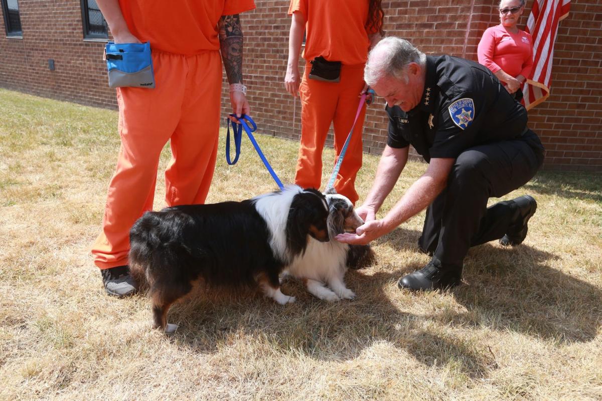 ‘Pups at the Pen’ program gives dogs, inmates new lease on life