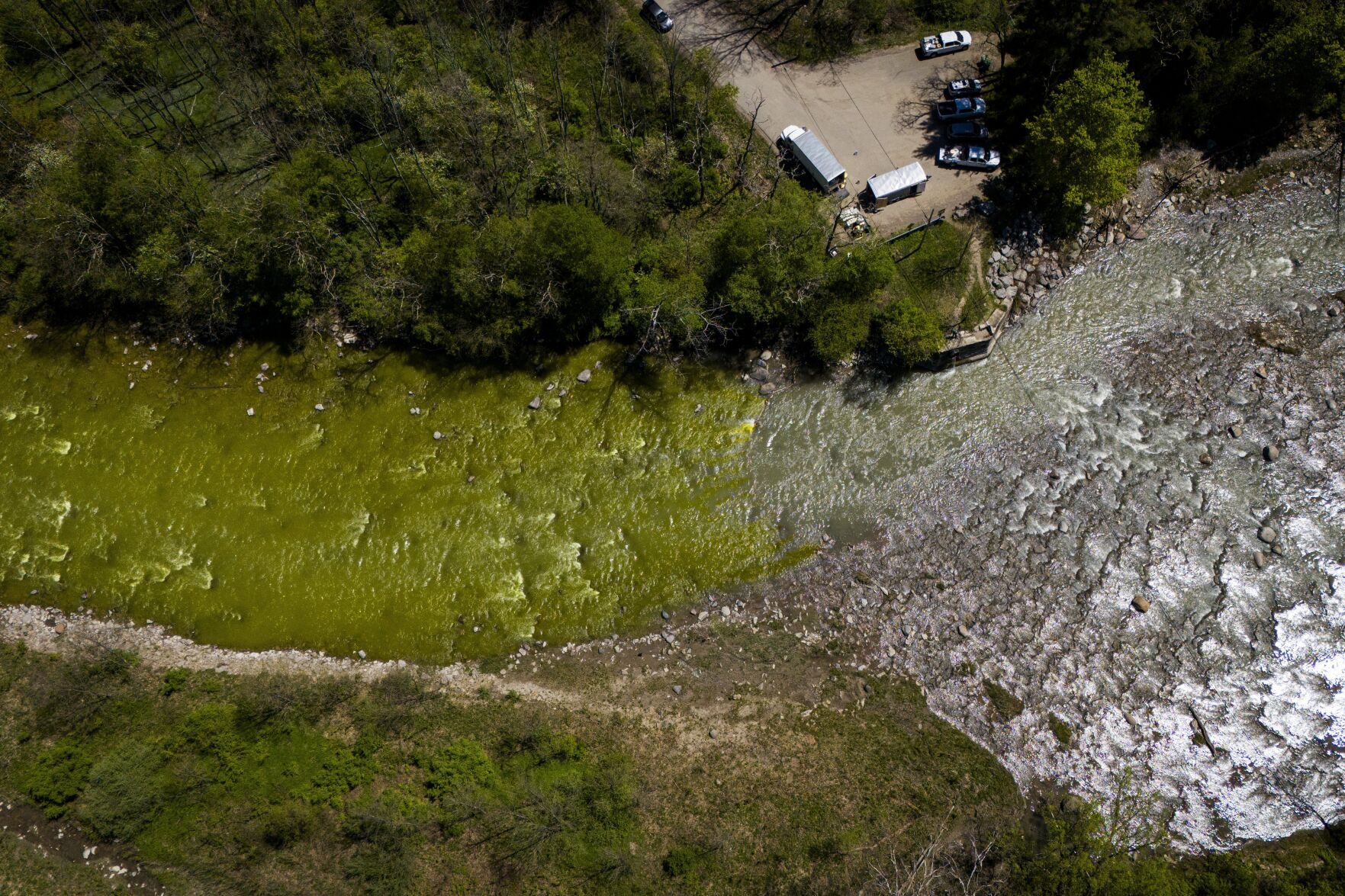 Work on track to keep lampreys under control in Lake Erie