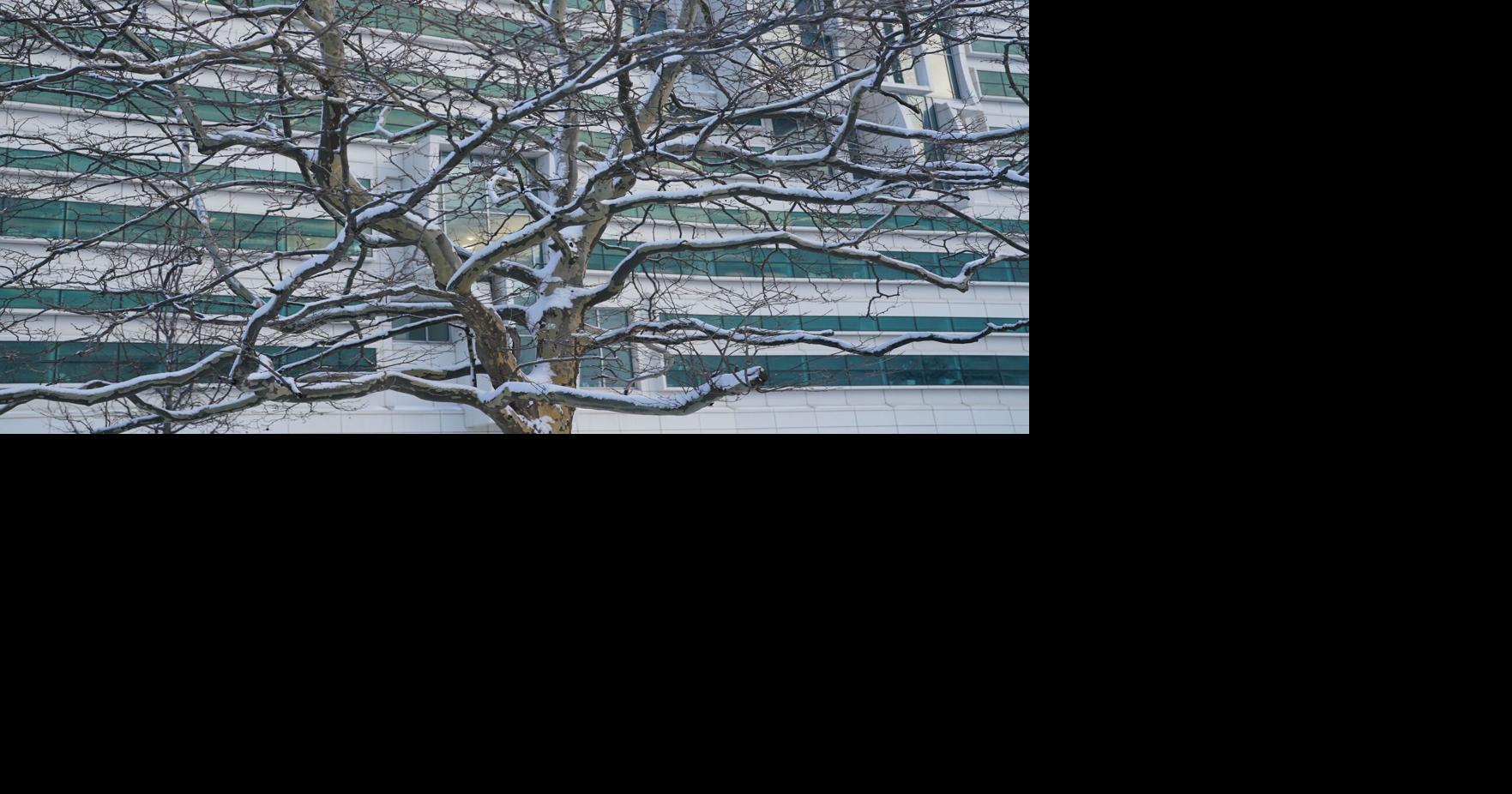Don Paul's forecast: Sunday snow; frigid cold pattern holds