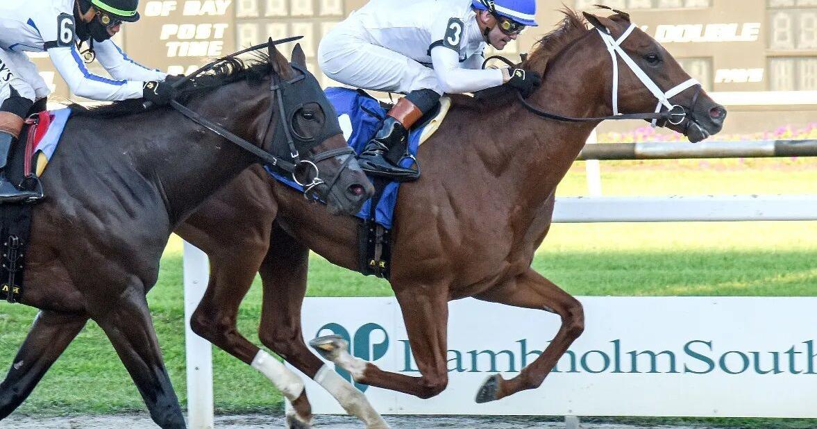 Post Time: Derby Trail leads to Louisiana Derby