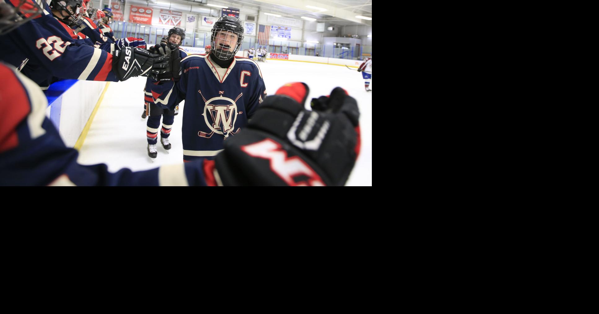 Twins Erin and Emma Roland lead Williamsville to state semifinals in ...