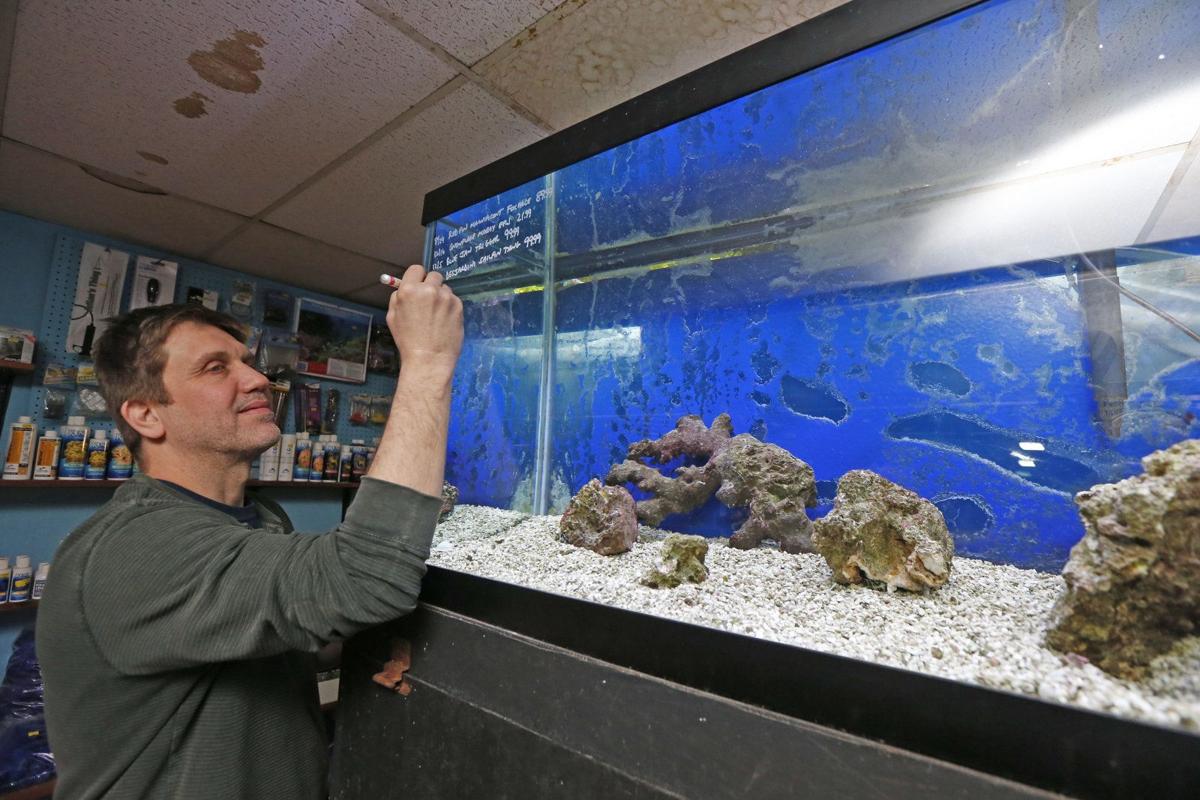 Escaping the Winter Blues at North Tonawanda's Fish Place