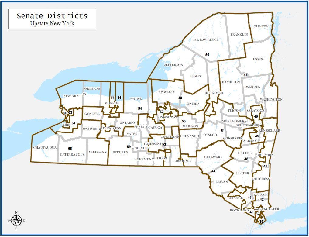 Task force reveals redrawn NY Senate, Assembly districts