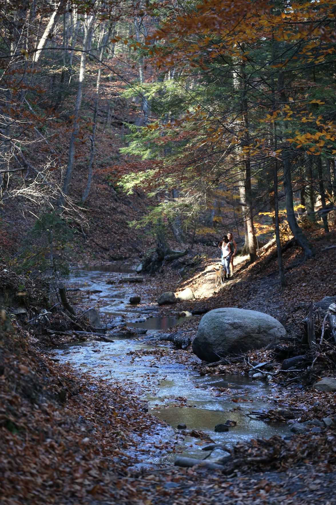 100 things: Visit the Eternal Flame at Chestnut Ridge Park | Multimedia ...
