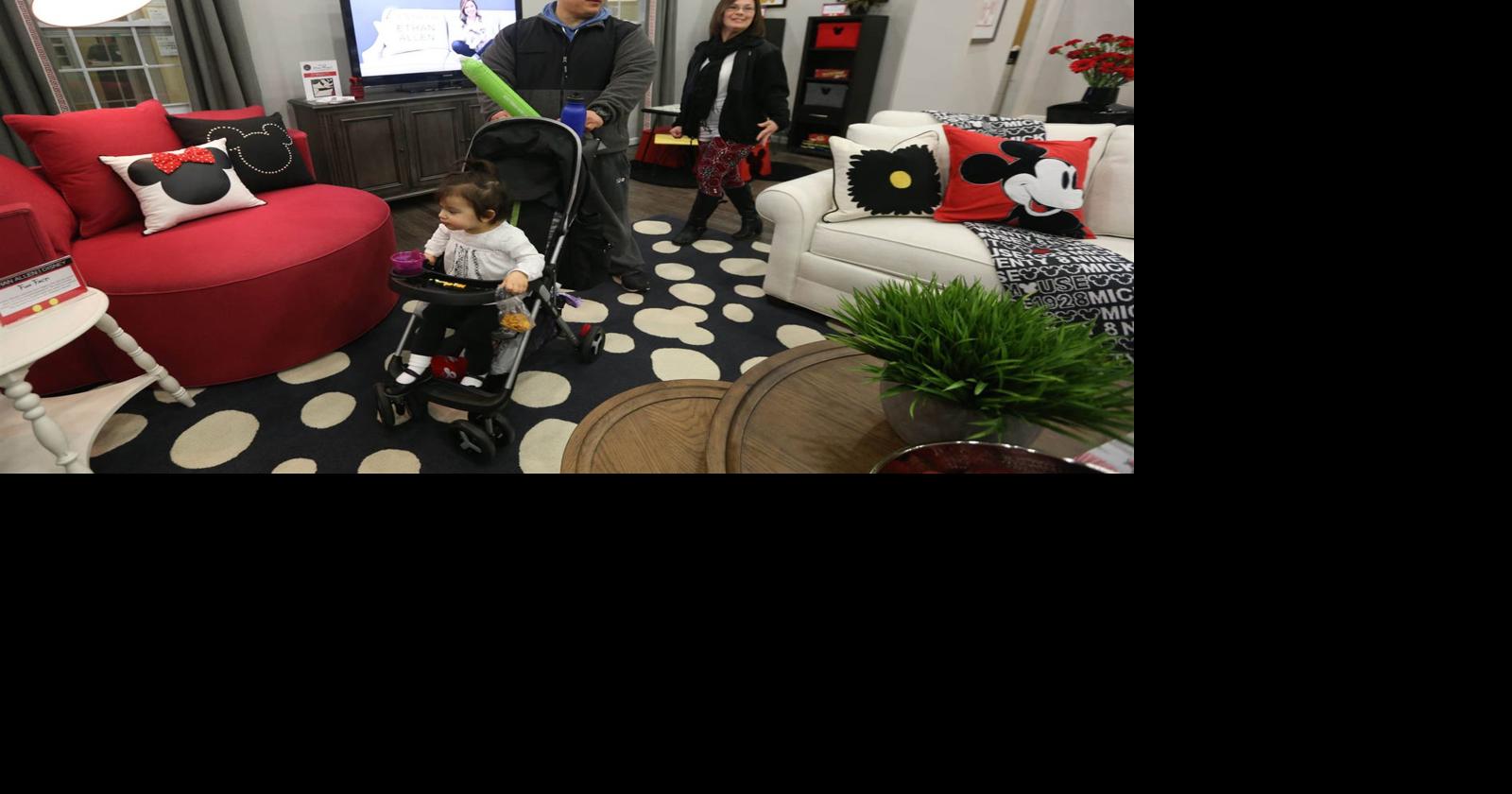 Buffalo Home Show 2017