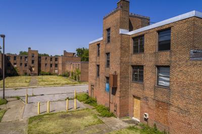 Carl Paladino offers to buy most of Perry housing complex for $1