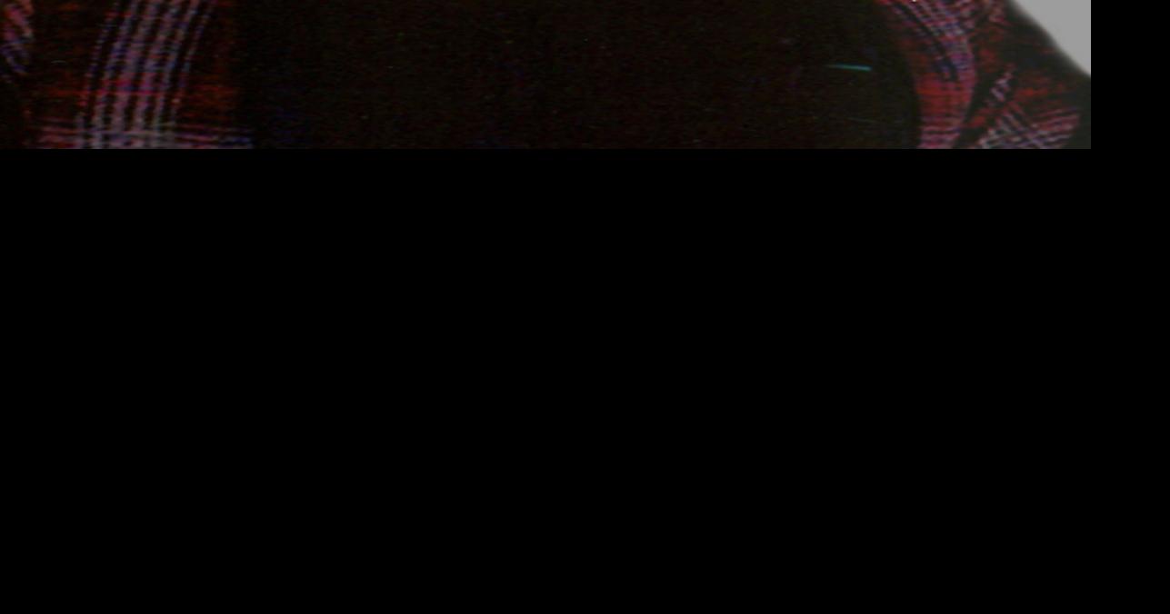 Rev. Richard J. Hoar, 92, former campus minister at Canisius College