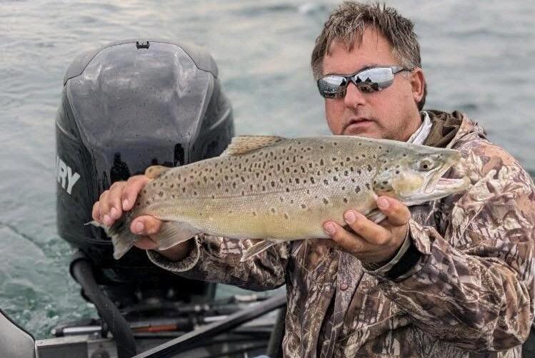 Outdoors calendar: Fall turkey hunting season begins Oct. 1 in Northern ...