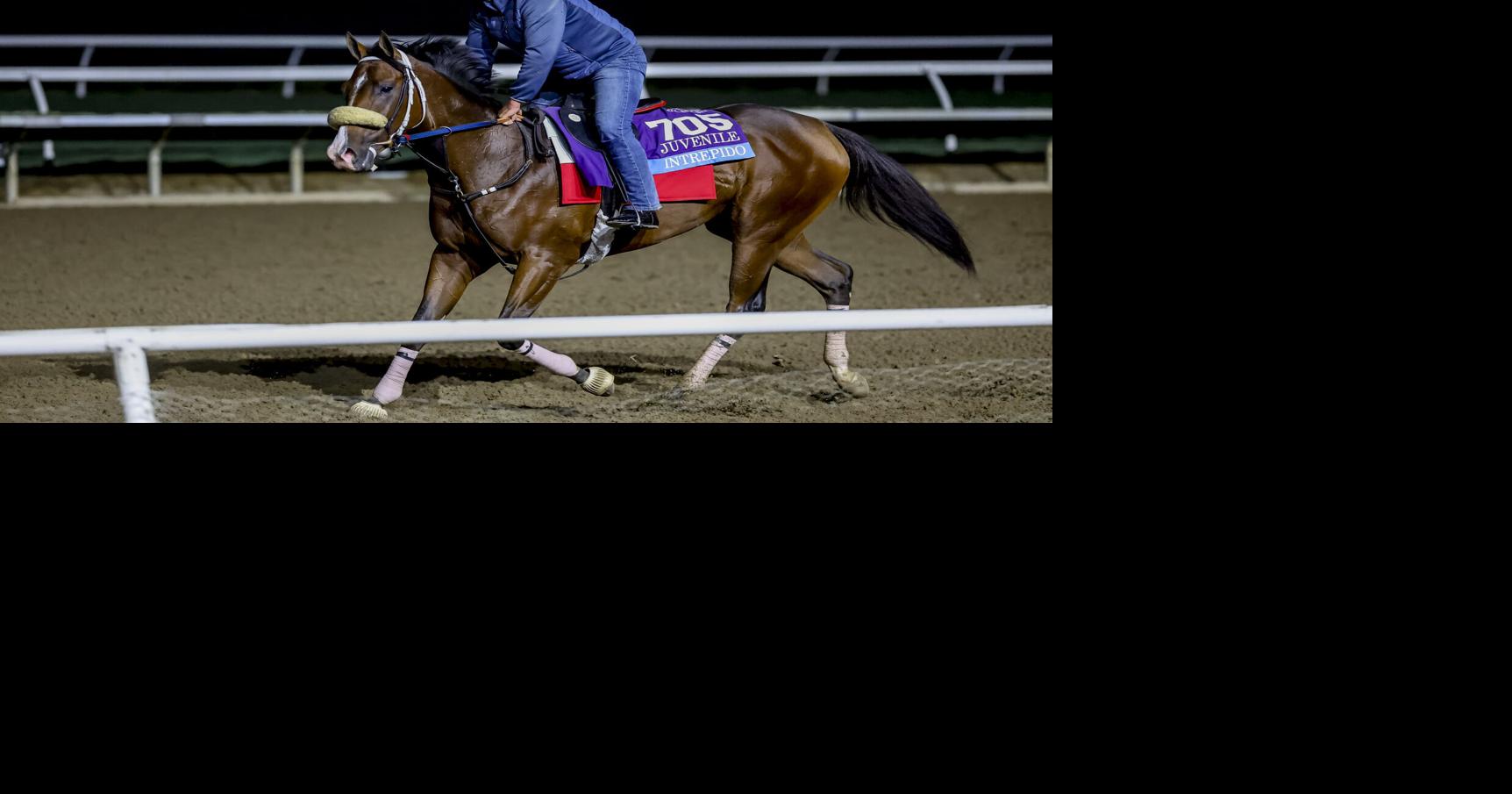 Post Time: Derby trail back on track