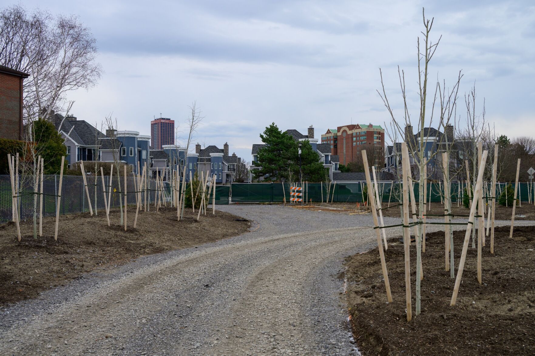 Wilson Park tree planting upsets some Buffalo neighbors