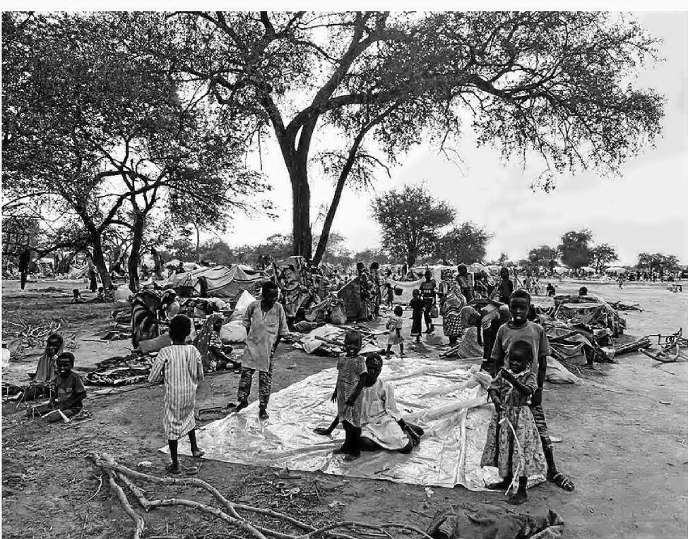 Darfur's new generation, once full of promise, in 'fire of war'