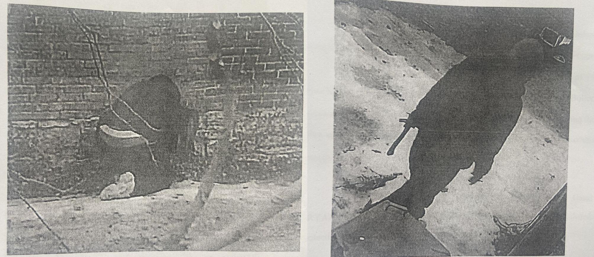 Allentown double murder suspect ordered to give DNA sample