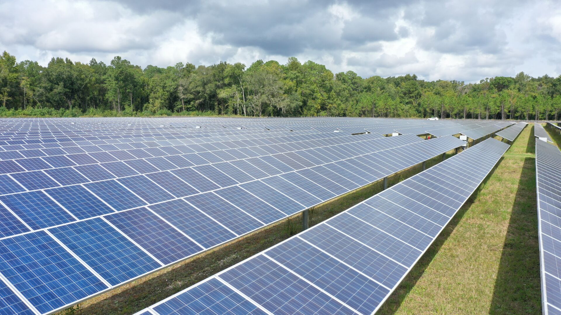 Cider Solar Farm construction begins in Genesee County