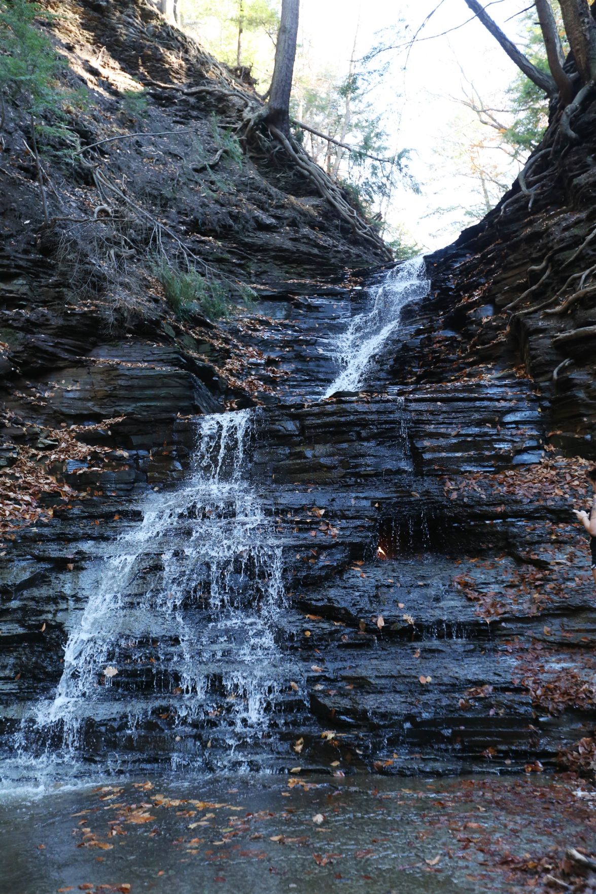 100 things: Visit the Eternal Flame at Chestnut Ridge Park | Multimedia ...