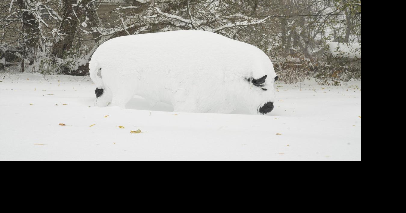 Good Morning, Buffalo: Lake-effect snow moves north; 40 mph winds expected
