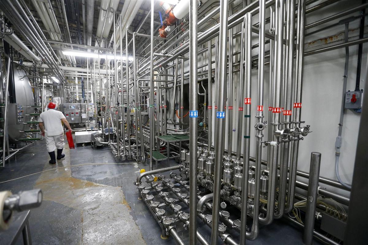 Made in Buffalo: Making Cheese at Lactalis American Group