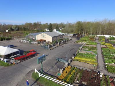 Russell’s Tree & Shrub Farm seeds success for over 30 years