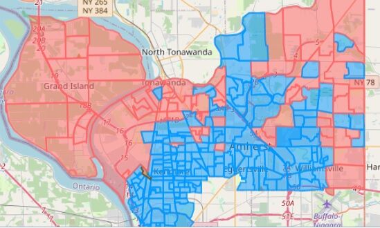 A quick analysis of the 61st Senate District race