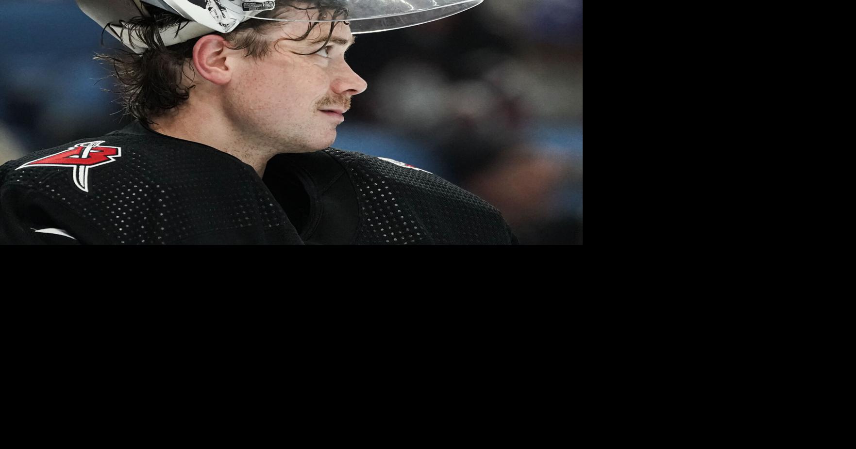 How will the Buffalo Sabres handle their goalie depth chart?