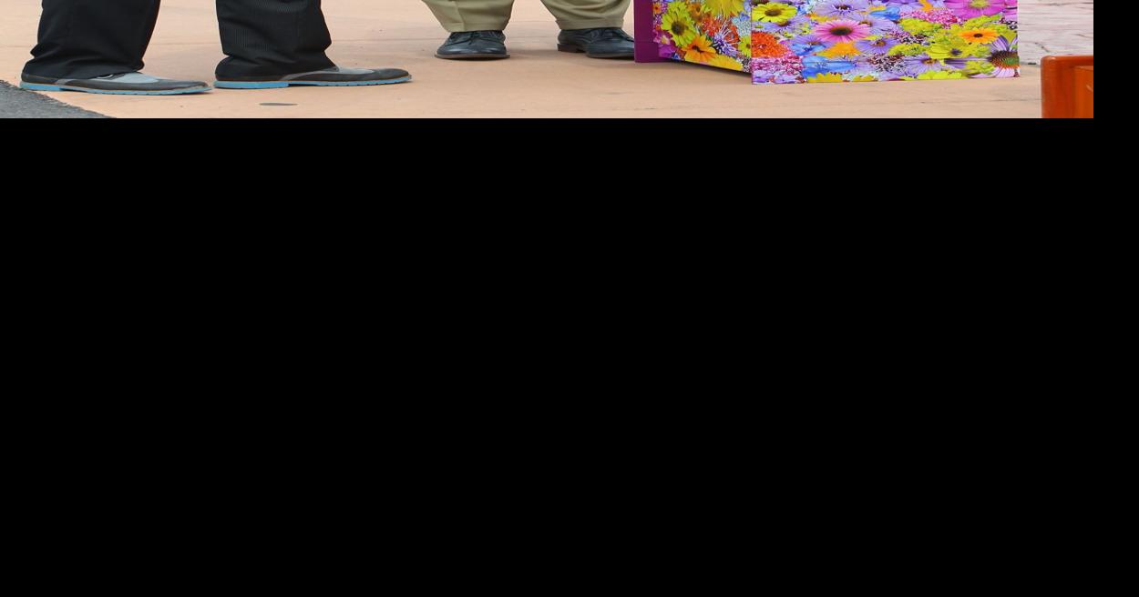 ‘Rewilding’ flower seed project set to bloom across Erie County