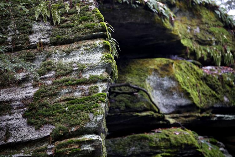 Afternoon Drive: Panama Rocks is a natural attraction millions of years ...