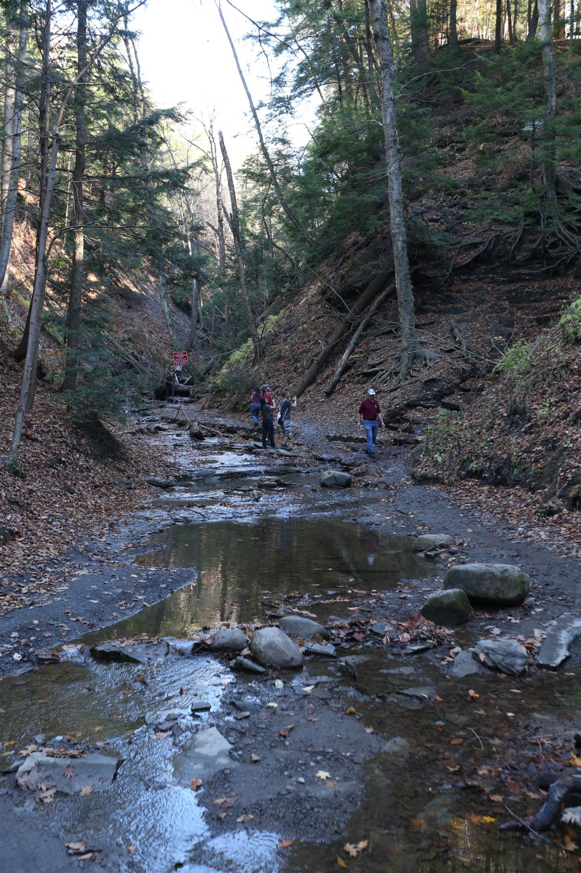 100 things: Visit the Eternal Flame at Chestnut Ridge Park | Multimedia ...