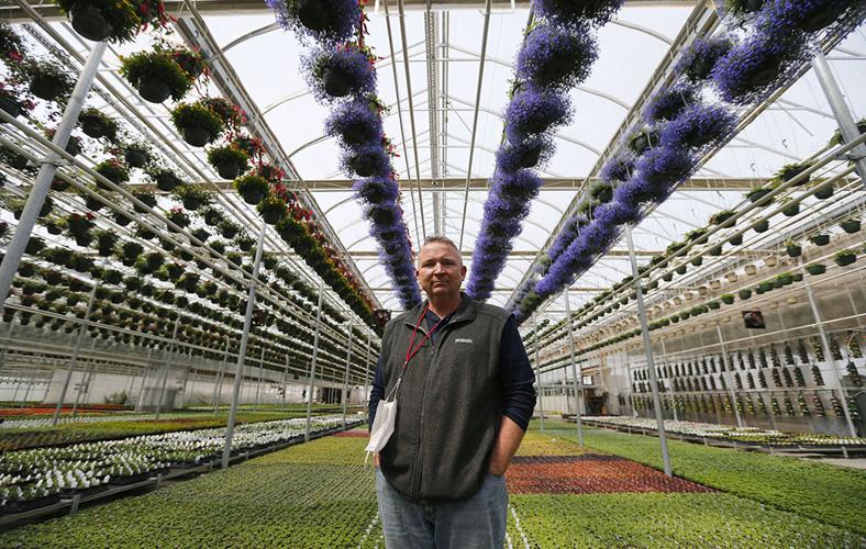 New York's agriculture sectors reeling under the weight of coronavirus