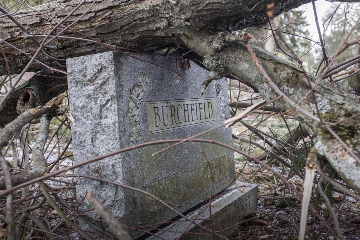 If a tree falls on Charles Burchfield's grave, would it make a good ...