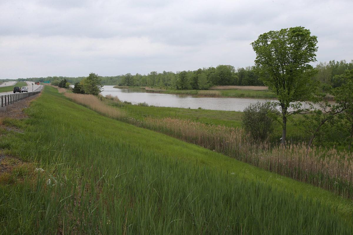 Muir Woods home construction to start in fall 2018