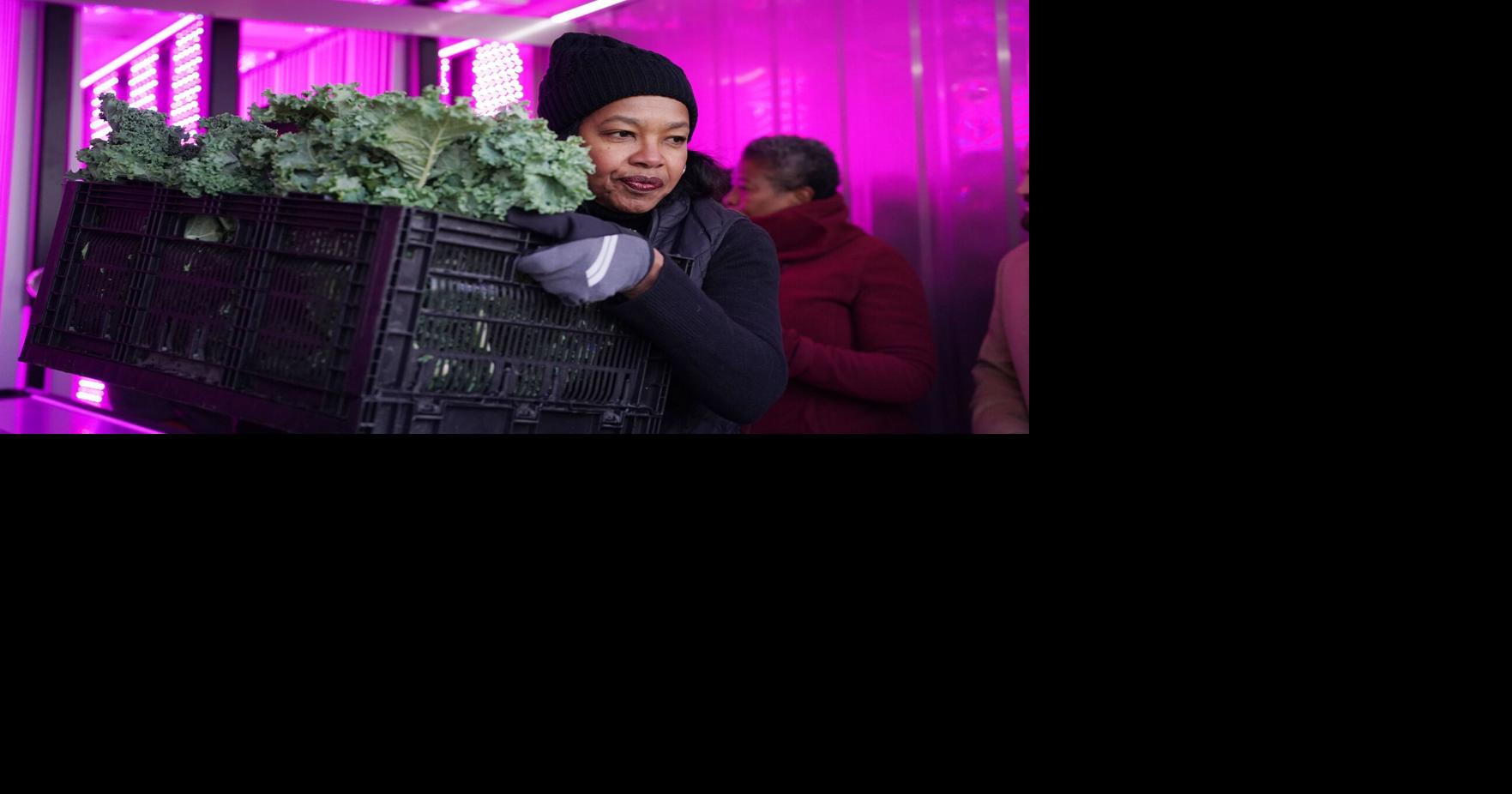 Fresh food scarcity is a problem that can be solved