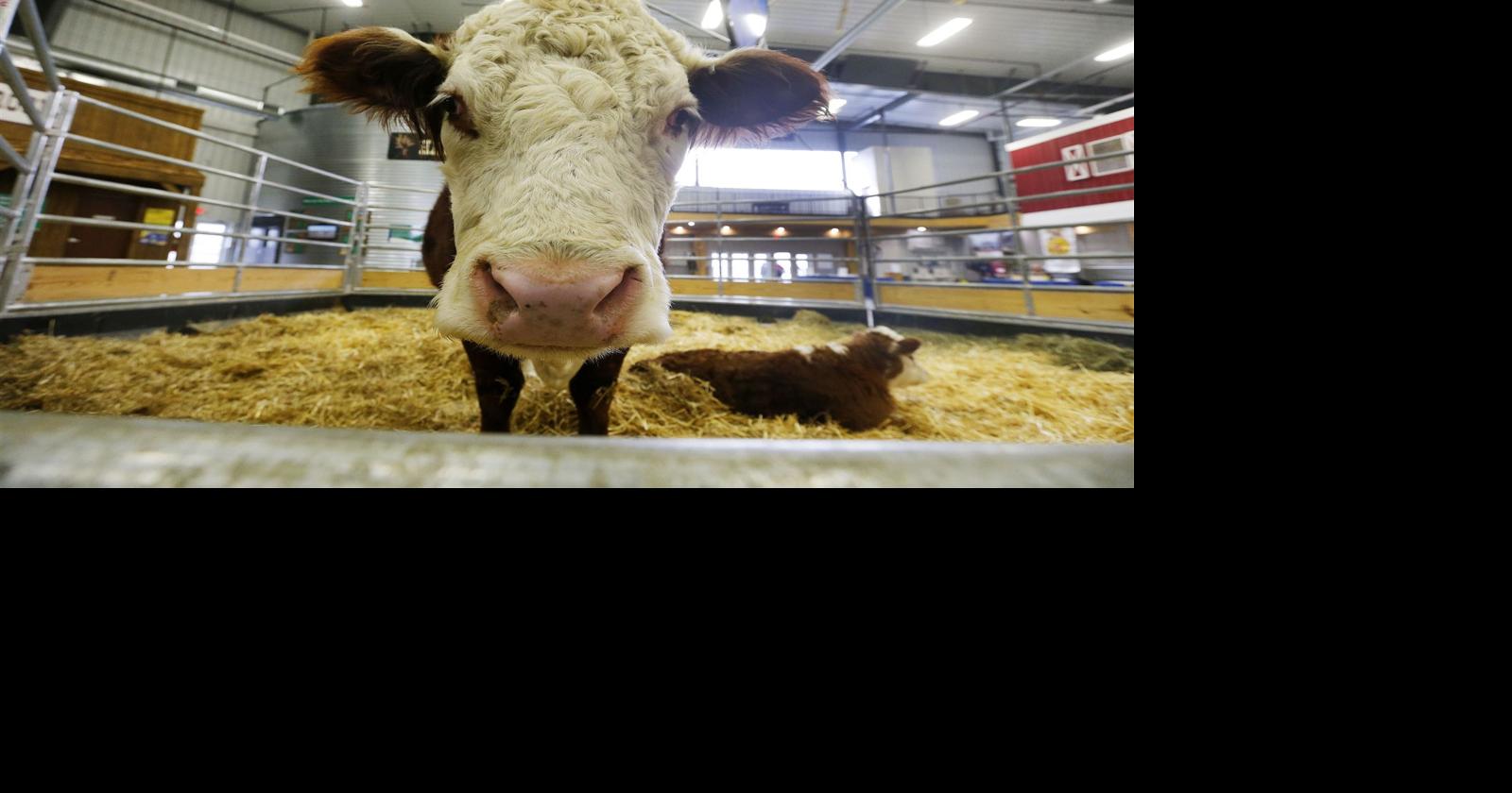 The 8th Annual Western New York Farm Show