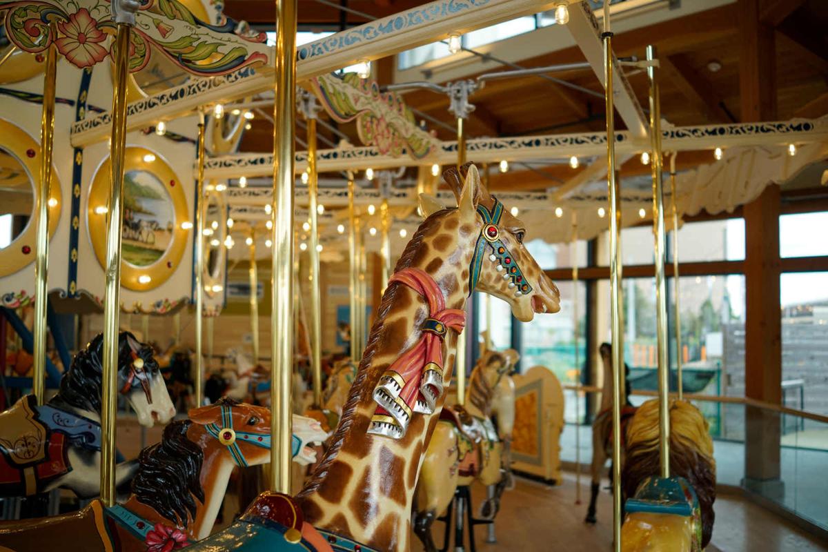 Buffalo Heritage Carousel's giraffe dedicated to honor the late Joan Bozer